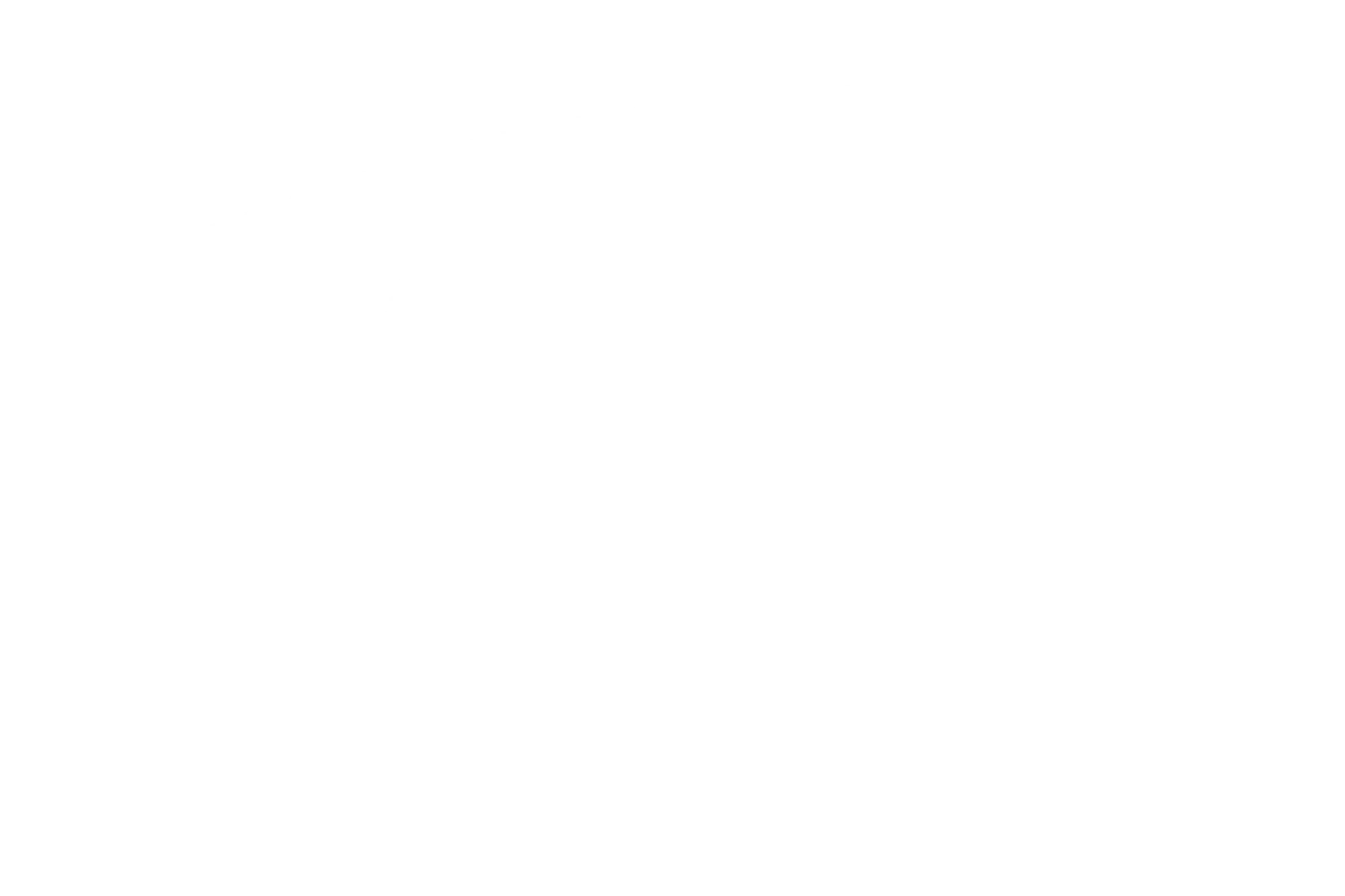 Leasing.com Whitelabel